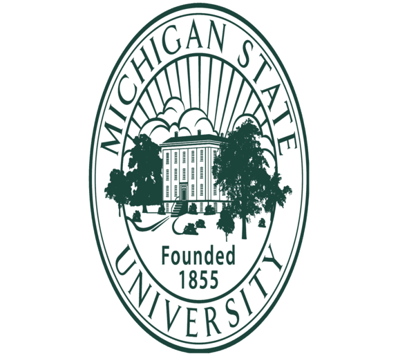 Work Experience - Patrick Govan